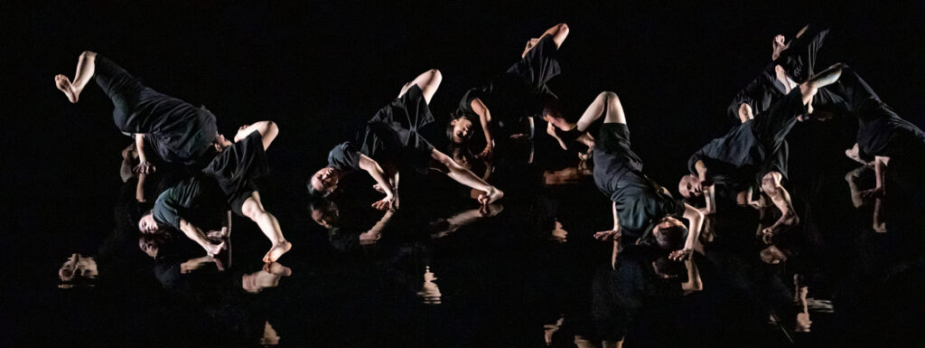 À vous de danser ! Compagnie S’Poart – Mickaël Le Mer - Rive Gauche